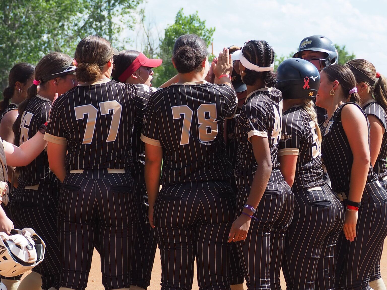 Softball Coaching: The Complete Guide to Building a Winning Program ...