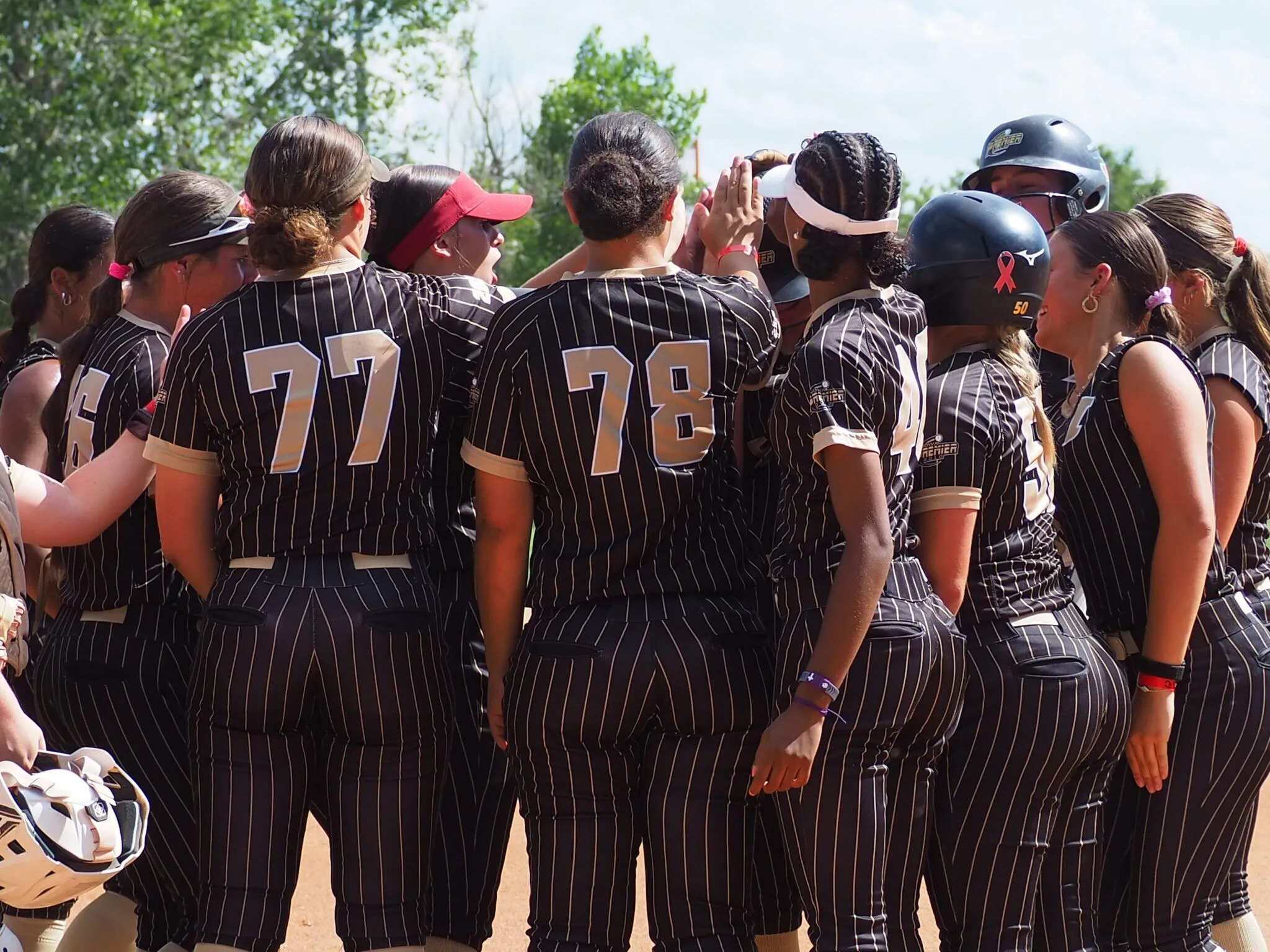 Softball Coaching: The Complete Guide to Building a Winning Program ...