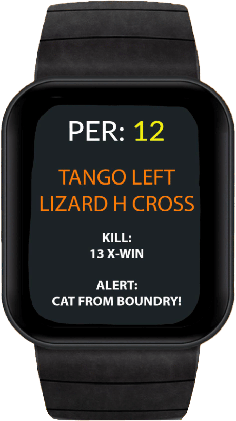 Stage 3 - Football Game - GoRout