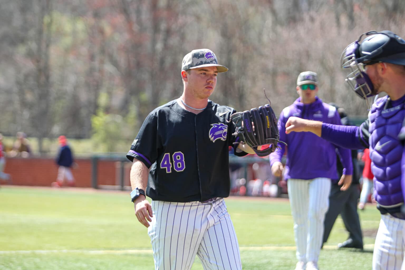 Trends in Sports: A Deep Dive into the Evolving Landscape - GoRout