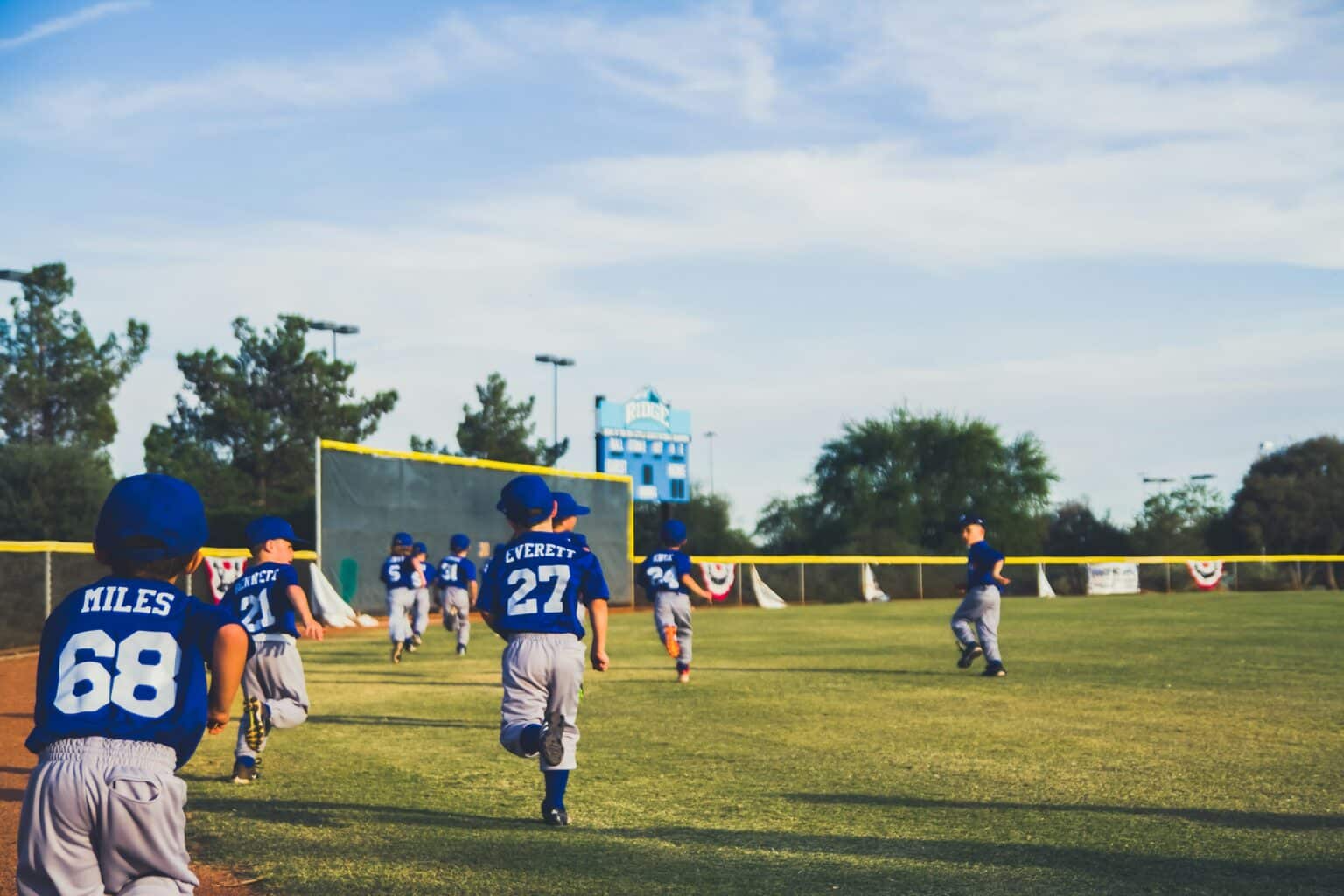 Youth Baseball Hitting Drills That Work: A Step-by-Step Guide - GoRout